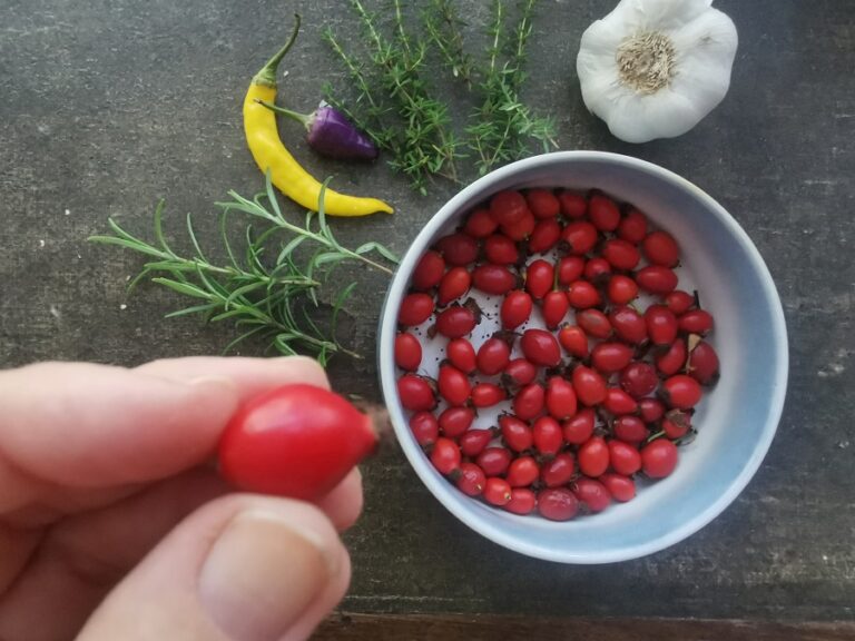 Pizza-Öl mit Hagebutten - Kräuter­werkstatt & mehr