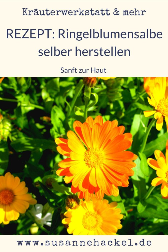 Ringelblumensalbe selber herstellen - Kräuter­werkstatt & mehr