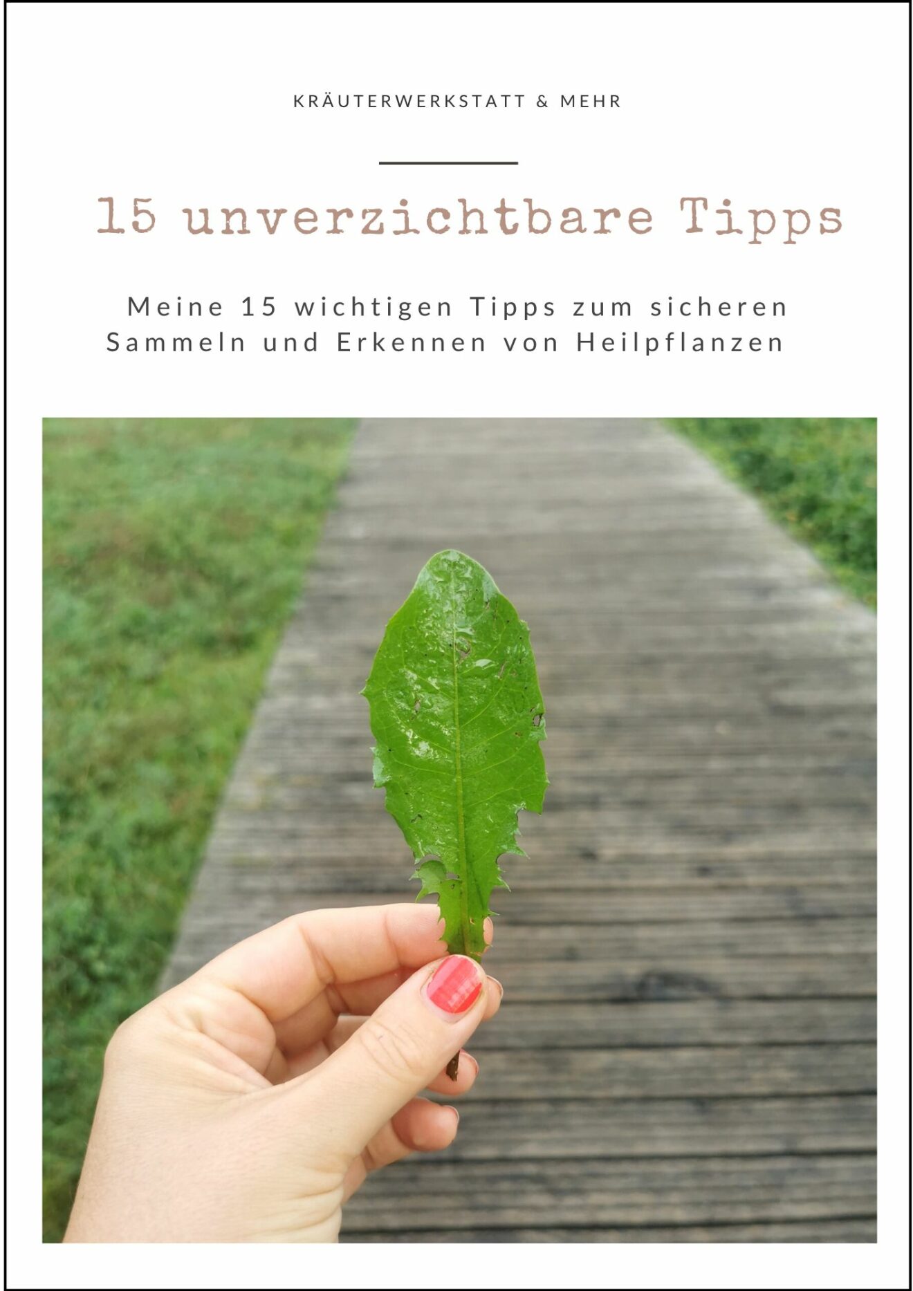 Newsletter - Kräuter­werkstatt & mehr