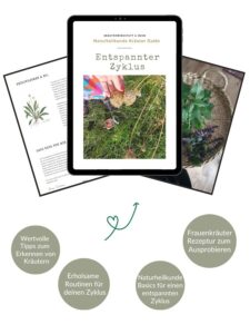 LP Freebie // Entspannter Zyklus - Kräuter­werkstatt & mehr