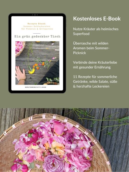 LP Freebie //E-Book Sommer-Rezepte - Kräuter­werkstatt & mehr